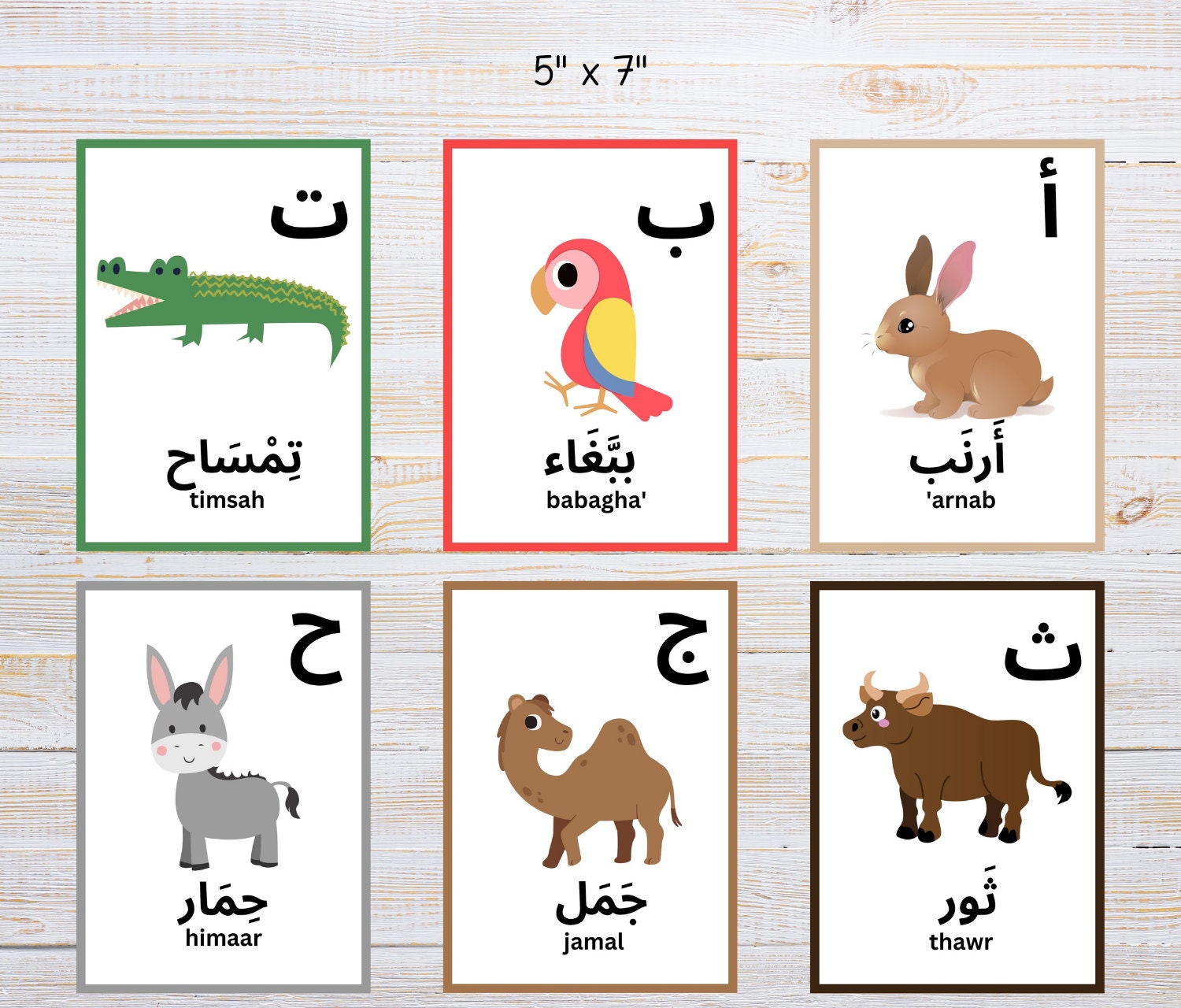 Arabic Alphabet, Educational Flash Cards, Learning Islamic Quran Tajwid ...