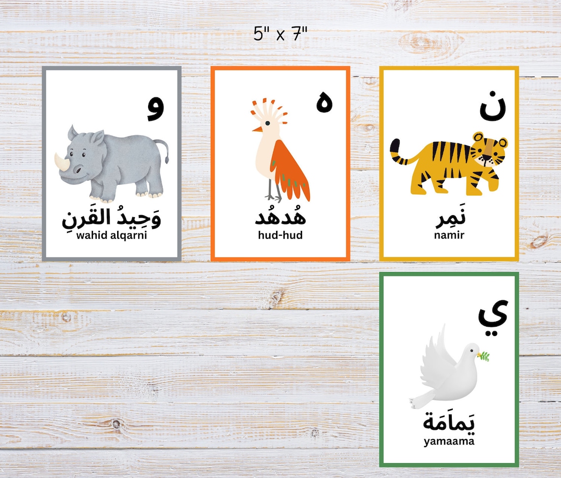 Arabic Alphabet, Educational Flash Cards, Learning Islamic Quran Tajwid ...