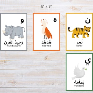 Arabic Alphabet, Educational Flash Cards, Learning Islamic Quran Tajwid ...