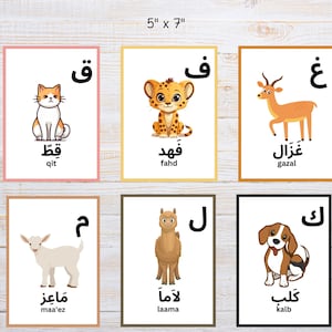 Arabic Alphabet, Educational Flash Cards, Learning Islamic Quran Tajwid ...
