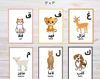 Arabic Alphabet Educational Flash Cards Learning Islamic Quran Tajwid ...