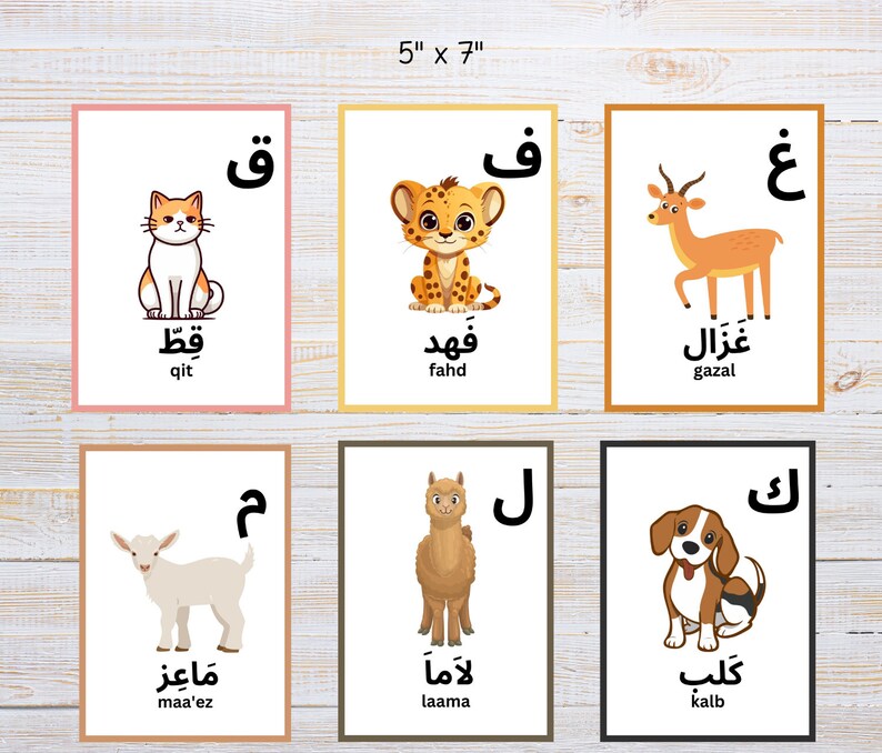 Arabic Alphabet, Educational Flash Cards, Learning Islamic Quran Tajwid ...