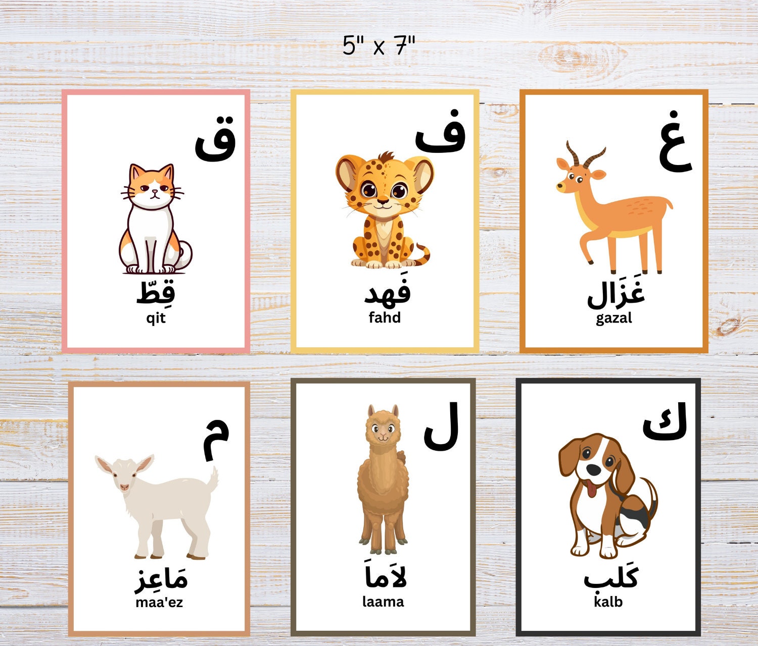 Arabic Alphabet, Educational Flash Cards, Learning Islamic Quran Tajwid ...