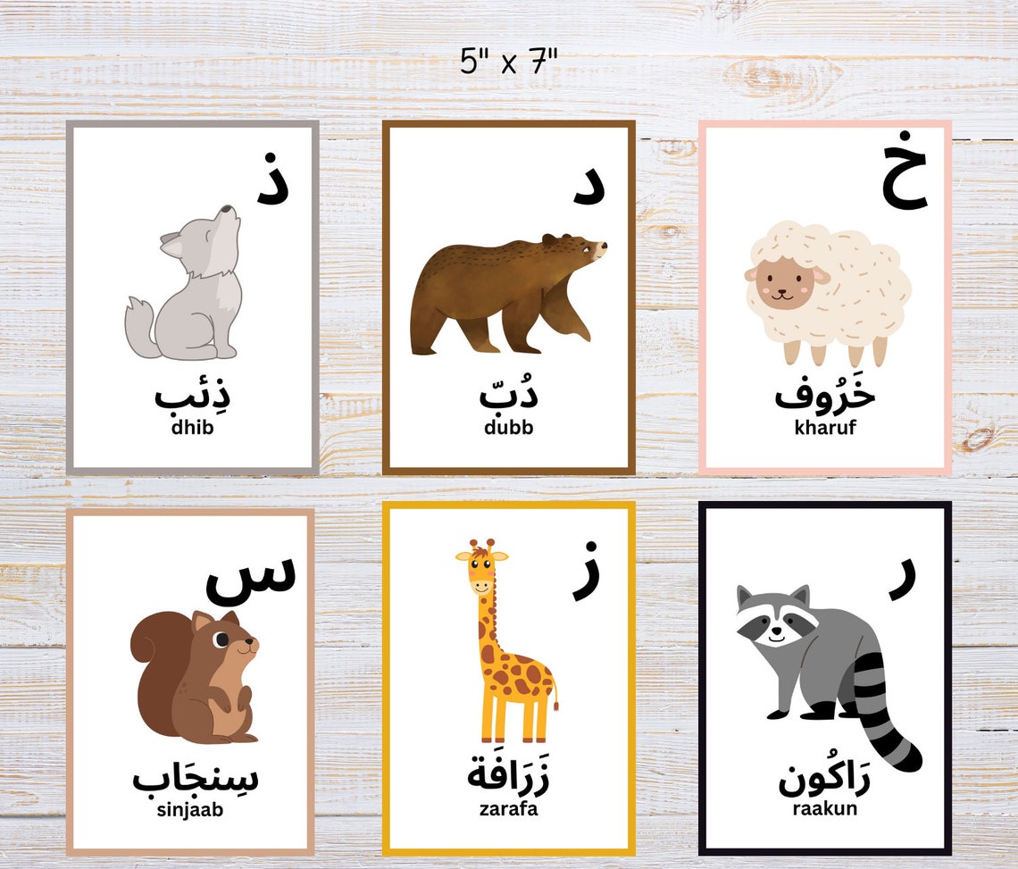 Arabic Alphabet, Educational Flash Cards, Learning Islamic Quran Tajwid ...