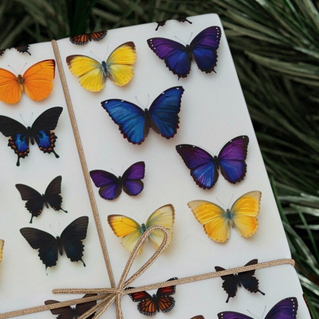 Colorful Preserved Butterfly Wrapping Paper Eco-friendly, Artistic Gift ...