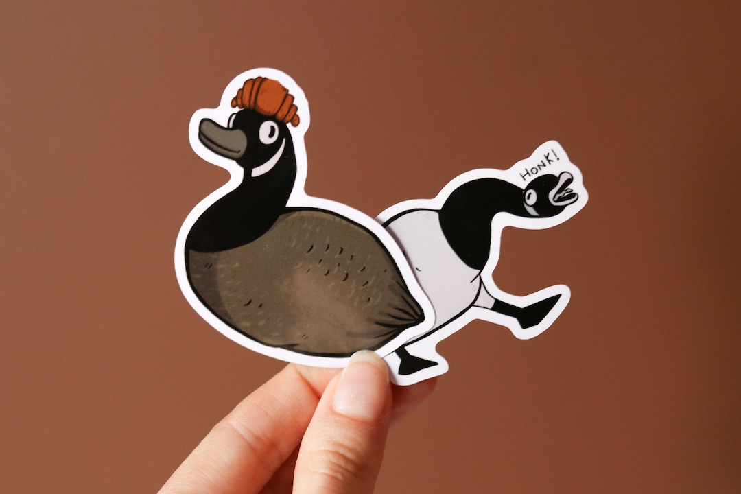 Duo Goose Sticker Set I Goose Lover | Bird Lovers I Stationary I for ...