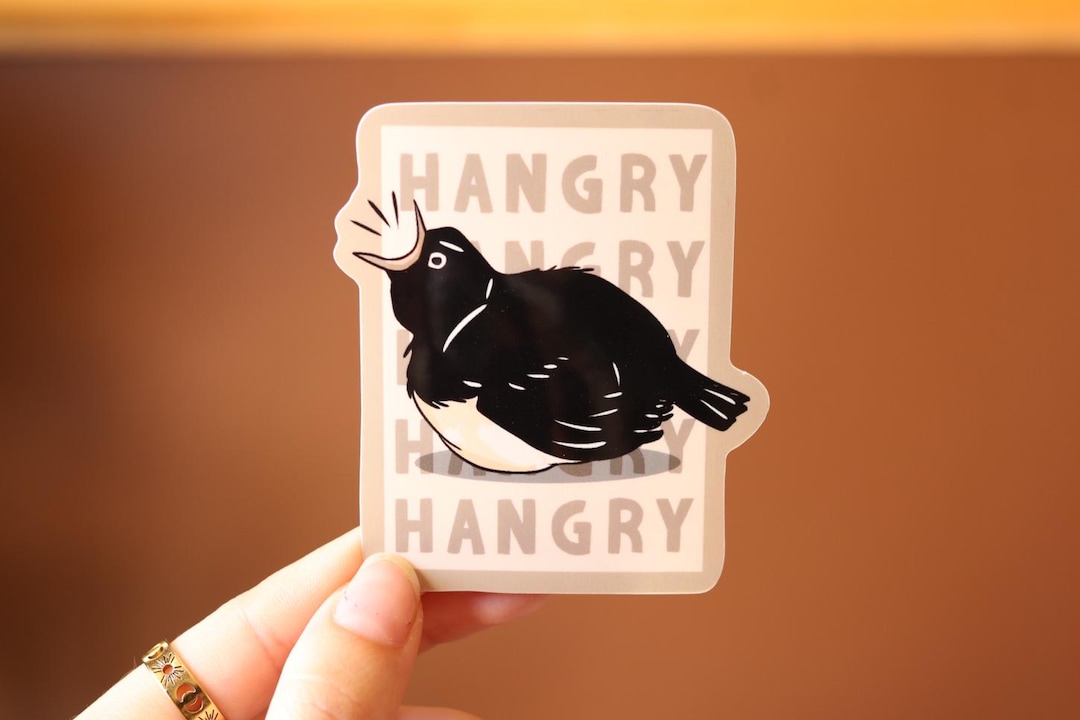 Hangry Vinyl Sticker | Willie Wagtail | Australian Bird Theme ...