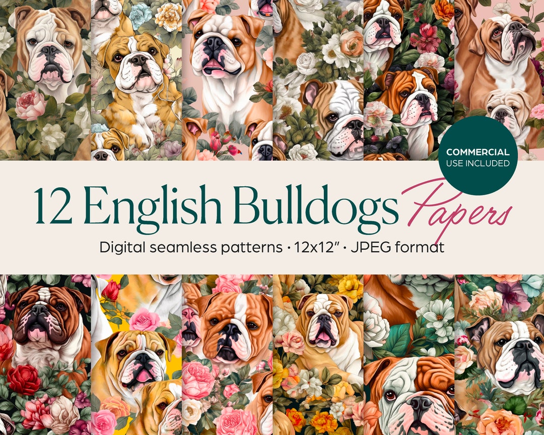 English Bulldog 12 Downloadable Pattern Seamless Designs - Etsy