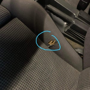 BMW M Rain Premium Car Upholstery Fabric - E30 E36 E34 E28 E21 M5- 4mm ...