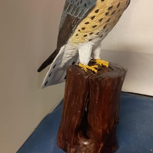 Hand Carved Life Size Kestrel - Etsy