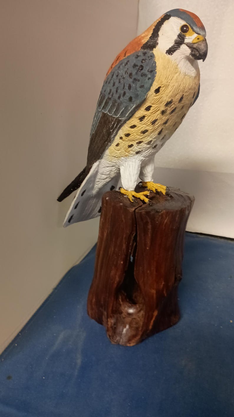 Hand Carved Life Size Kestrel - Etsy
