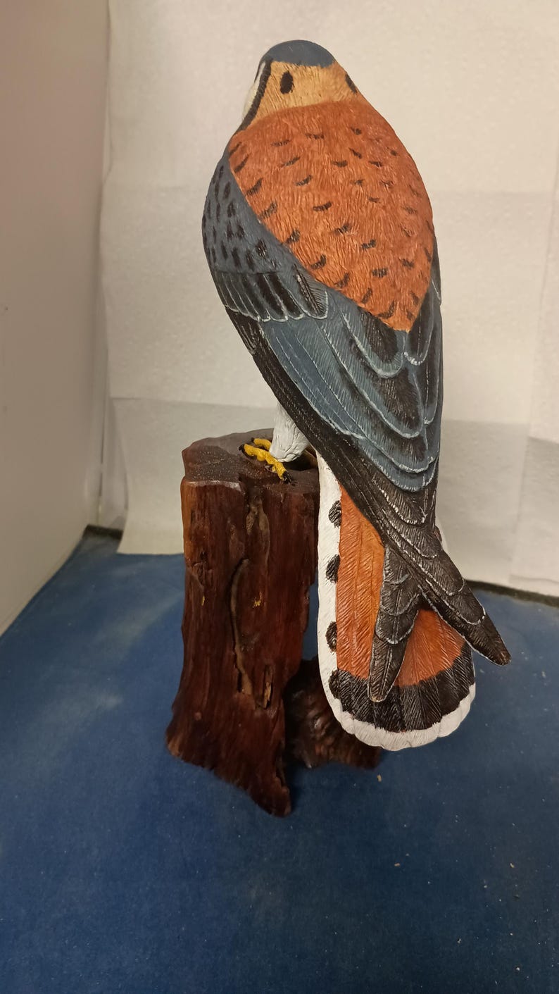 Hand Carved Life Size Kestrel - Etsy