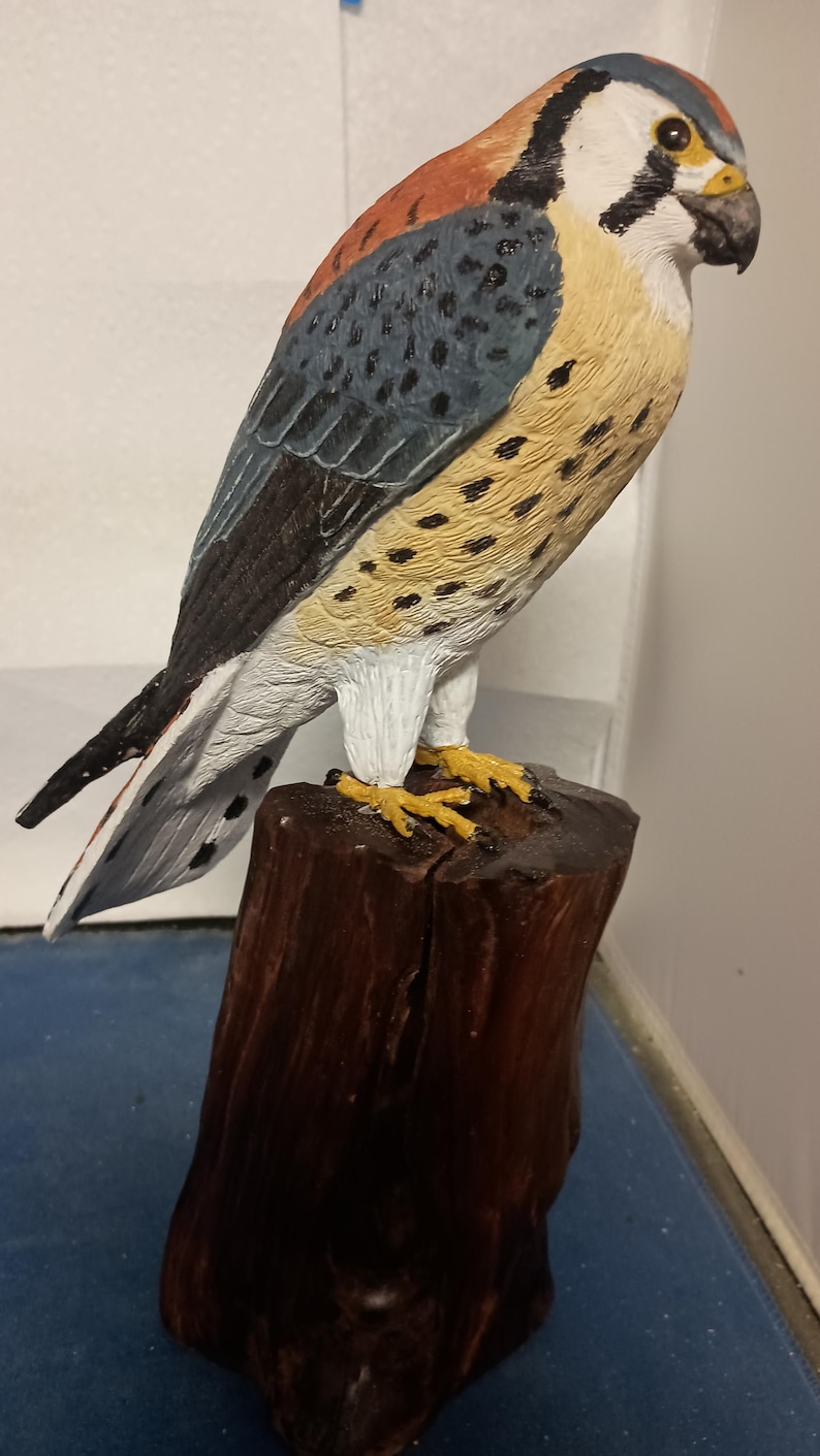 Hand Carved Life Size Kestrel - Etsy