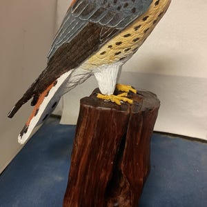 Hand Carved Life Size Kestrel - Etsy