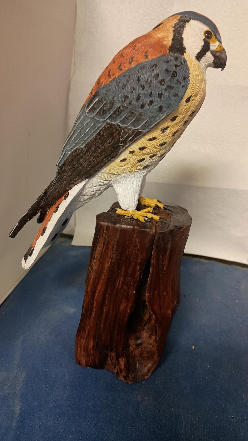Hand Carved Life Size Kestrel - Etsy