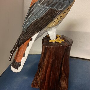 Hand Carved Life Size Kestrel - Etsy