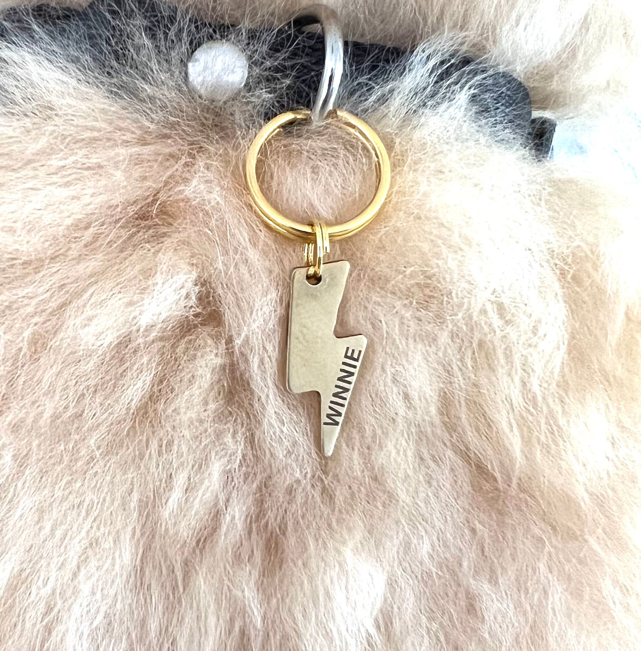 Engraved LIGHTNING BOLT Personalized Custom Pet ID Tags for Dogs and ...