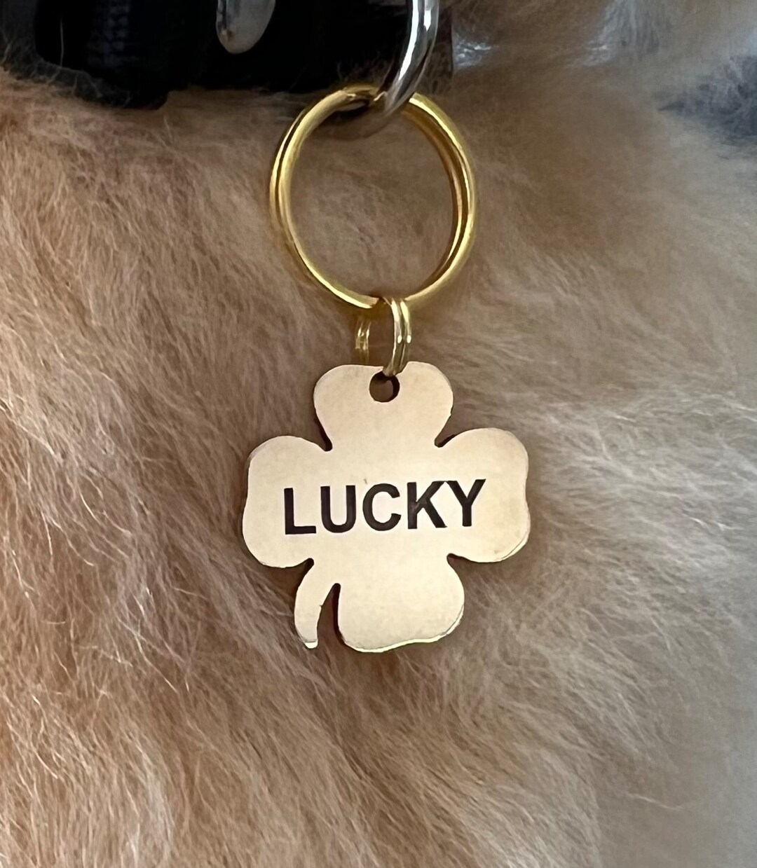 Engraved FOUR LEAF Clover Personalized Custom Pet ID Tags for Dogs and ...
