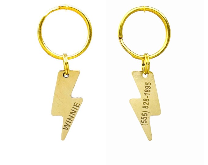 Engraved LIGHTNING BOLT Personalized Custom Pet ID Tags for Dogs and ...