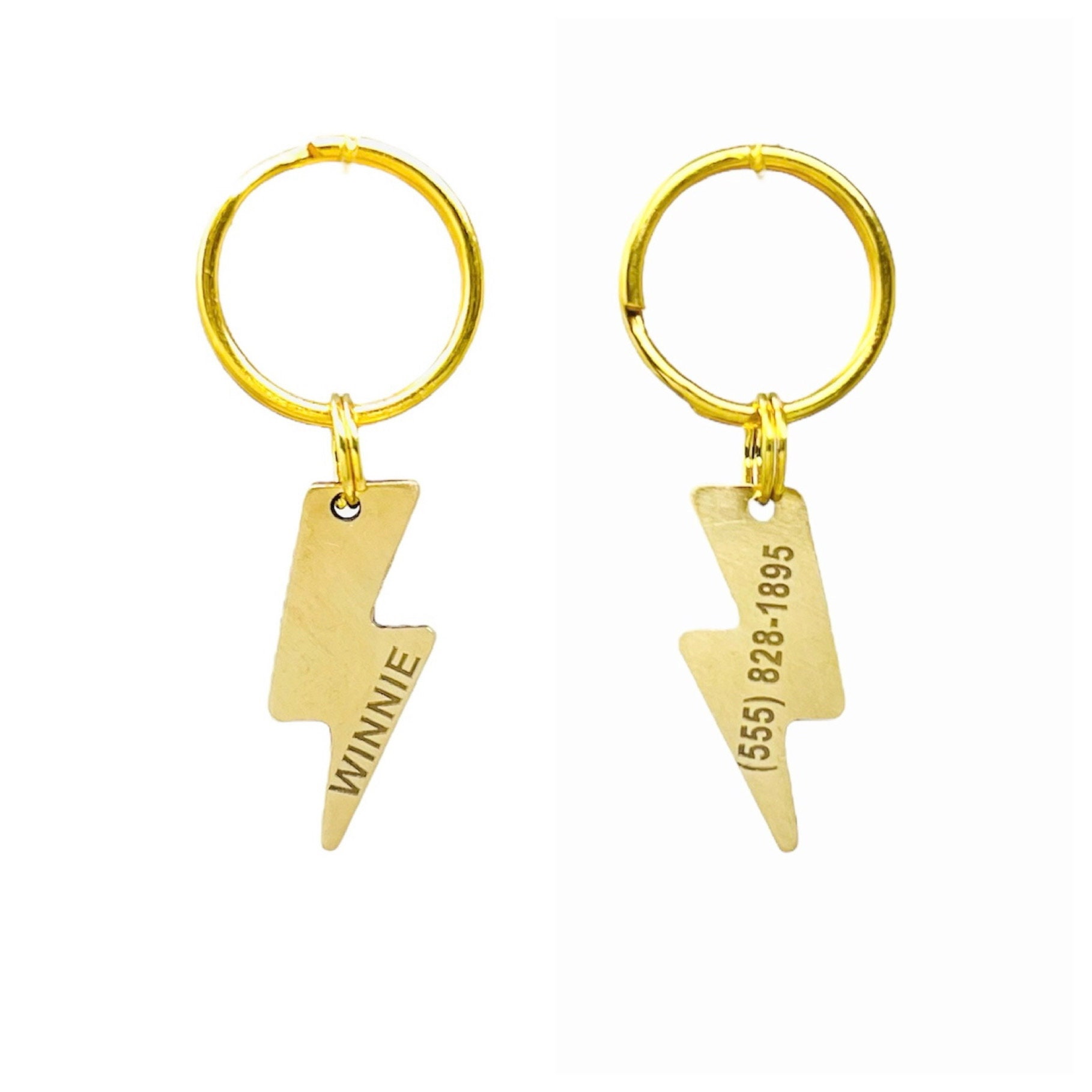 Engraved LIGHTNING BOLT Personalized Custom Pet ID Tags for Dogs and ...