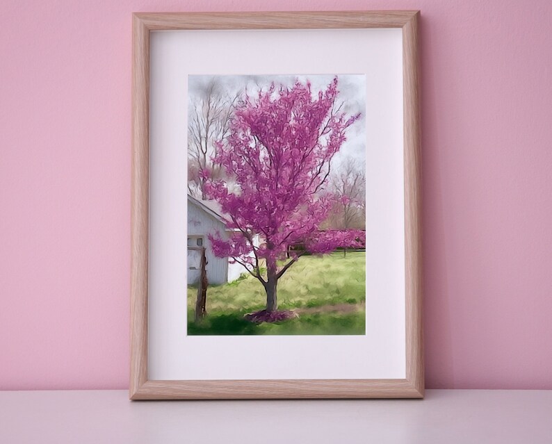 Redbud Tree in Missouri - Watercolor Painting - Wall Art - Digital ...