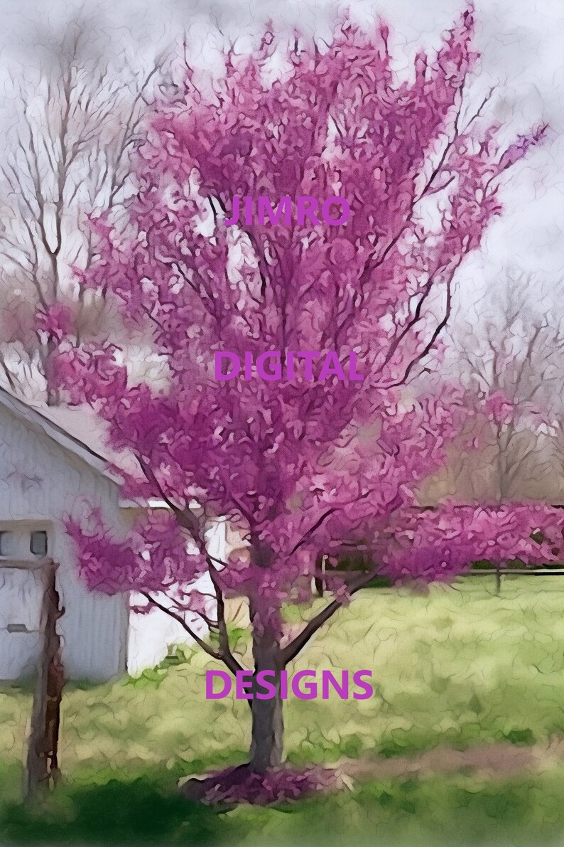 Redbud Tree in Missouri - Watercolor Painting - Wall Art - Digital ...