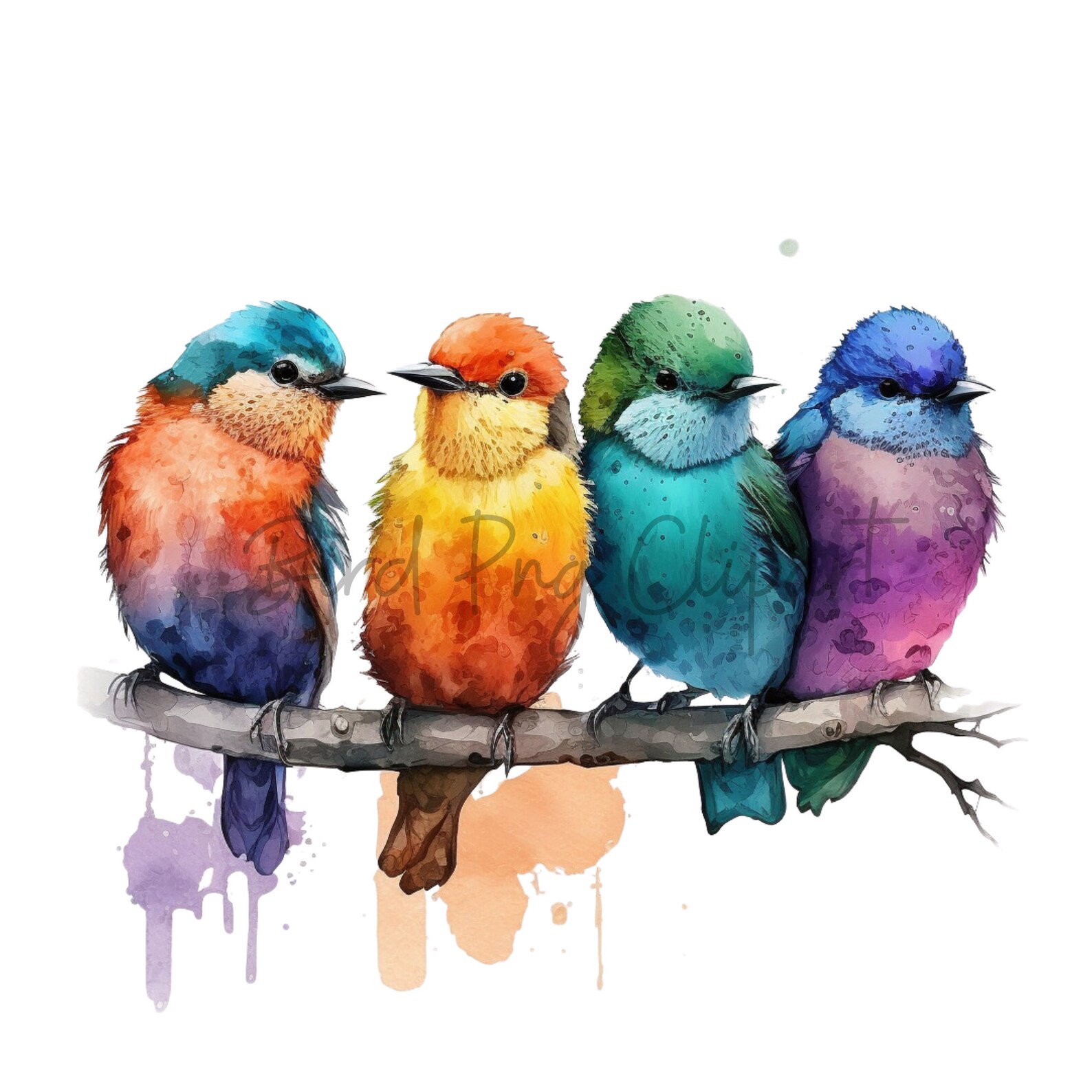 Bird Png, Colorful Cute Bird Sitting on a Tree Branch,birds Clipart ...