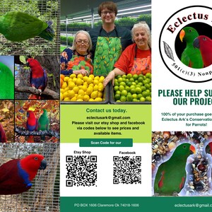 Freeze Dried Mixed Nuts Battered Banana Slices 2.5 Oz - Etsy