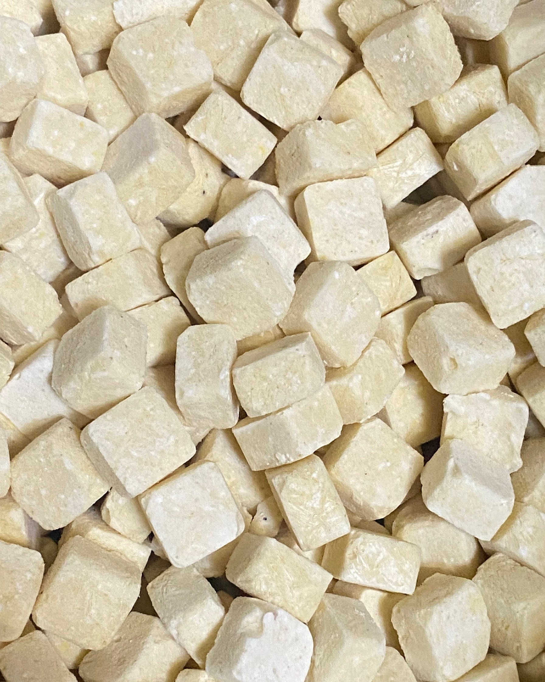Freeze Dried Jackfruit & Rice Cubes 3 Oz Pack - Etsy