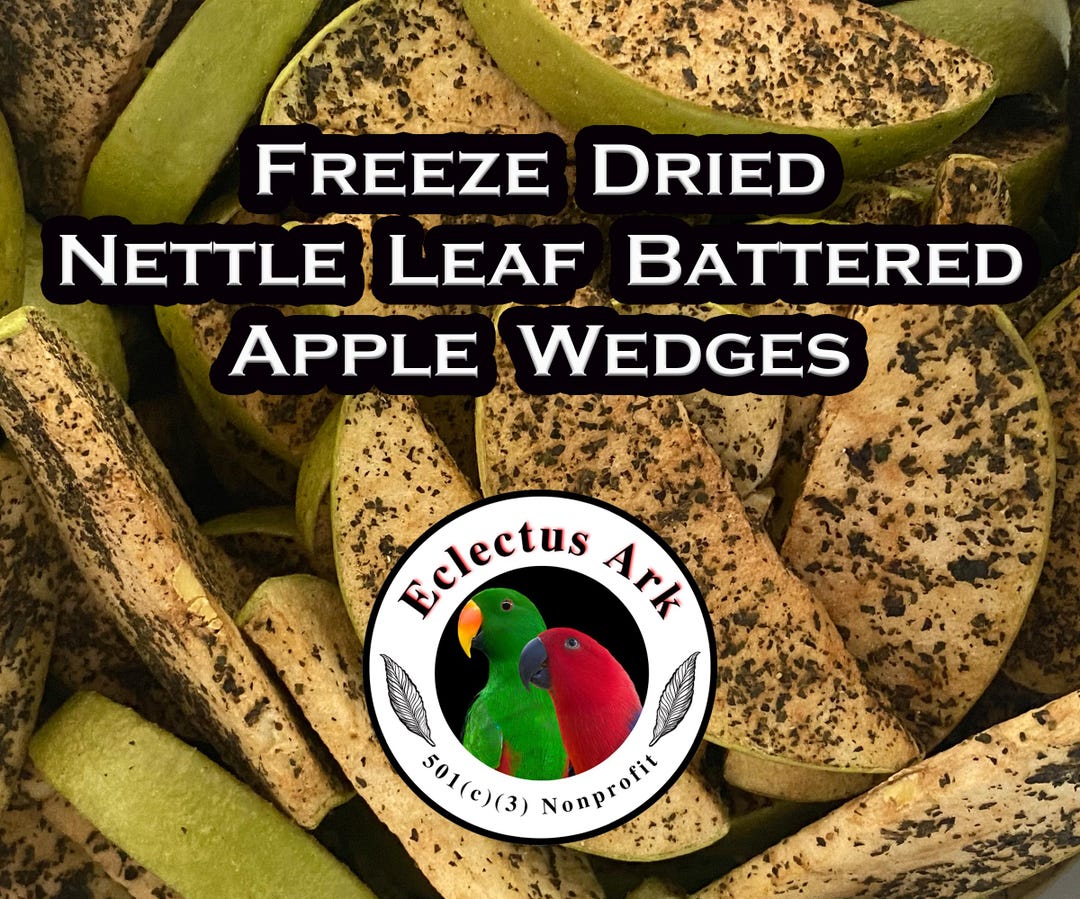 Freeze Dried Nettle Leaf Battered Apple Wedges 2 Oz - Etsy
