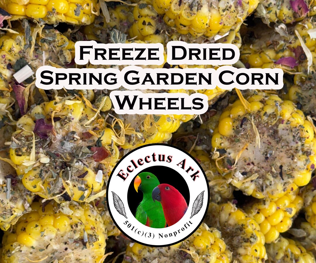 Freeze Dried Spring Garden Corn Wheels - Etsy