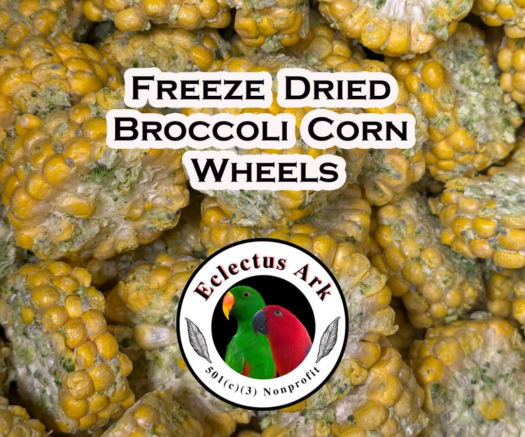 Freeze Dried Broccoli Corn Wheels - Etsy