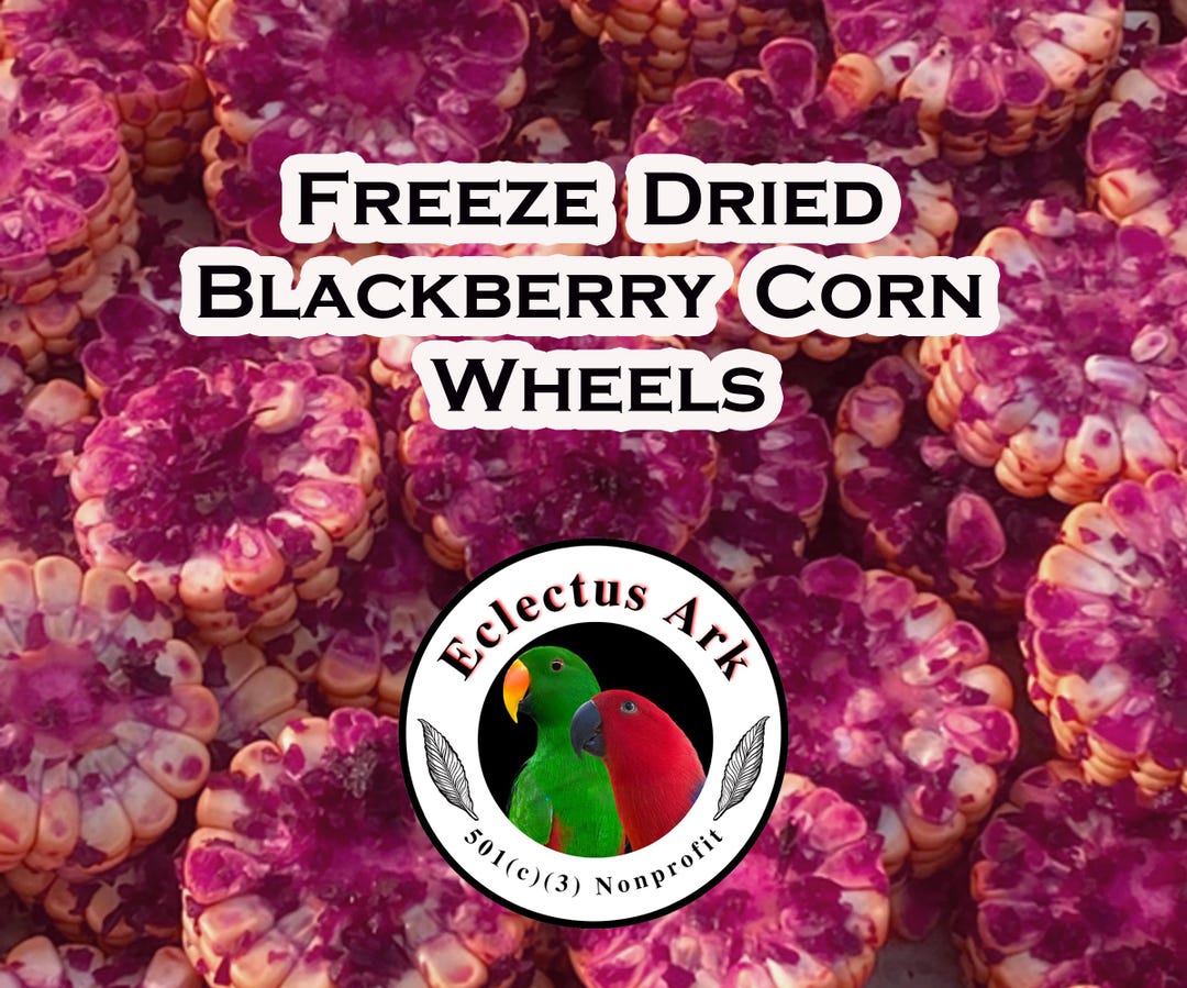 Freeze Dried Blackberry Corn Wheels - Etsy