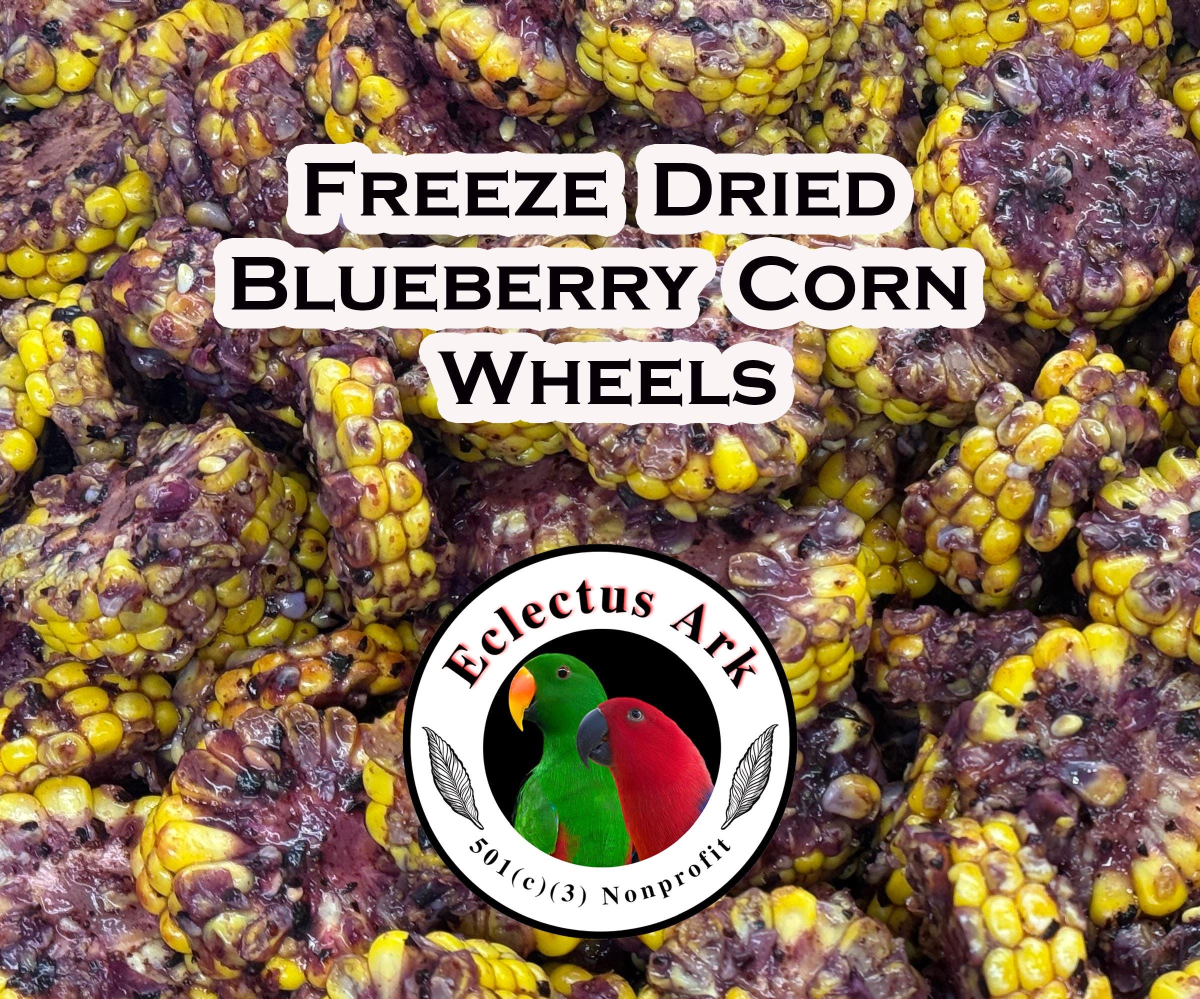 Freeze Dried Blueberry Corn Wheels for Parrots – Antioxidant-rich ...