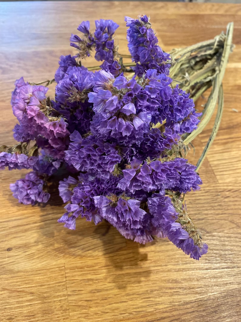 Purple Statice Flowers - Etsy