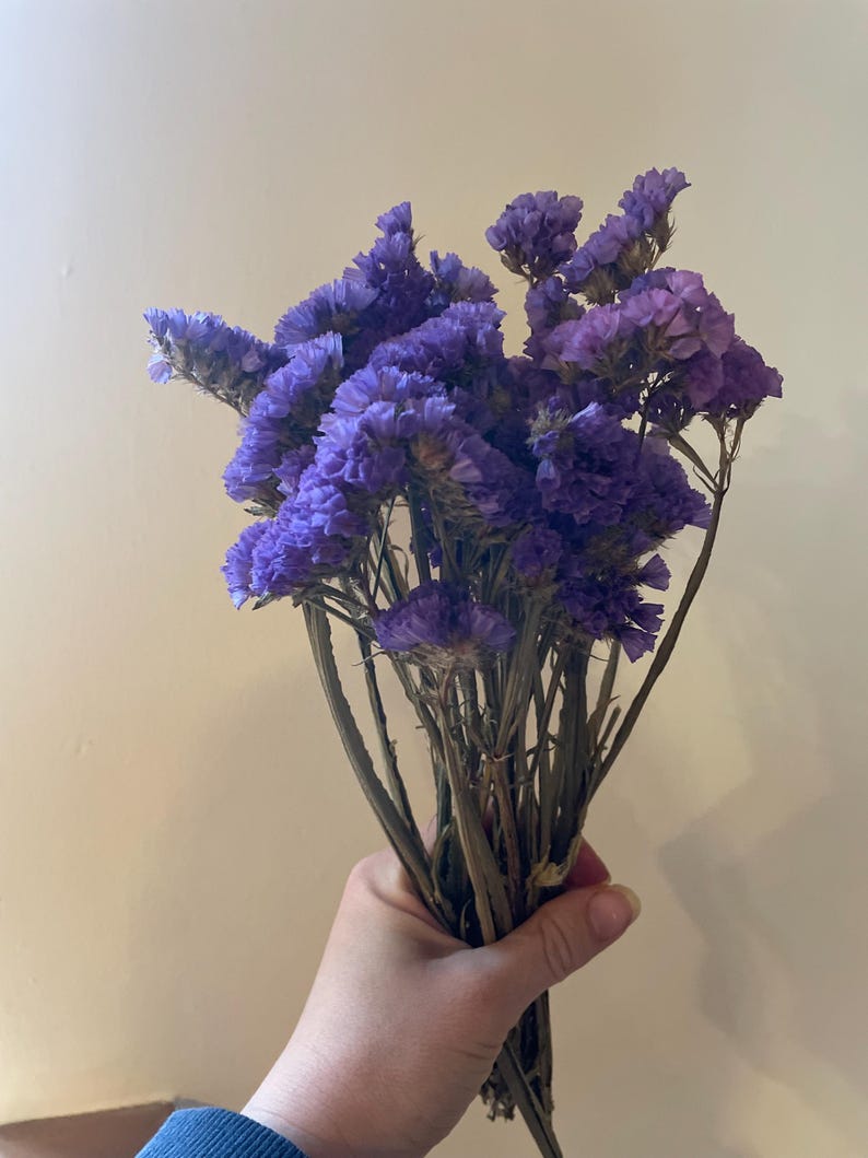 Purple Statice Flowers - Etsy