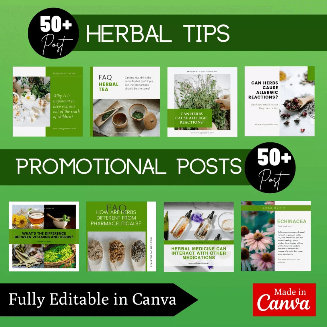 Herbal Social Media Template Herbal Remedy Infographic Instagram ...