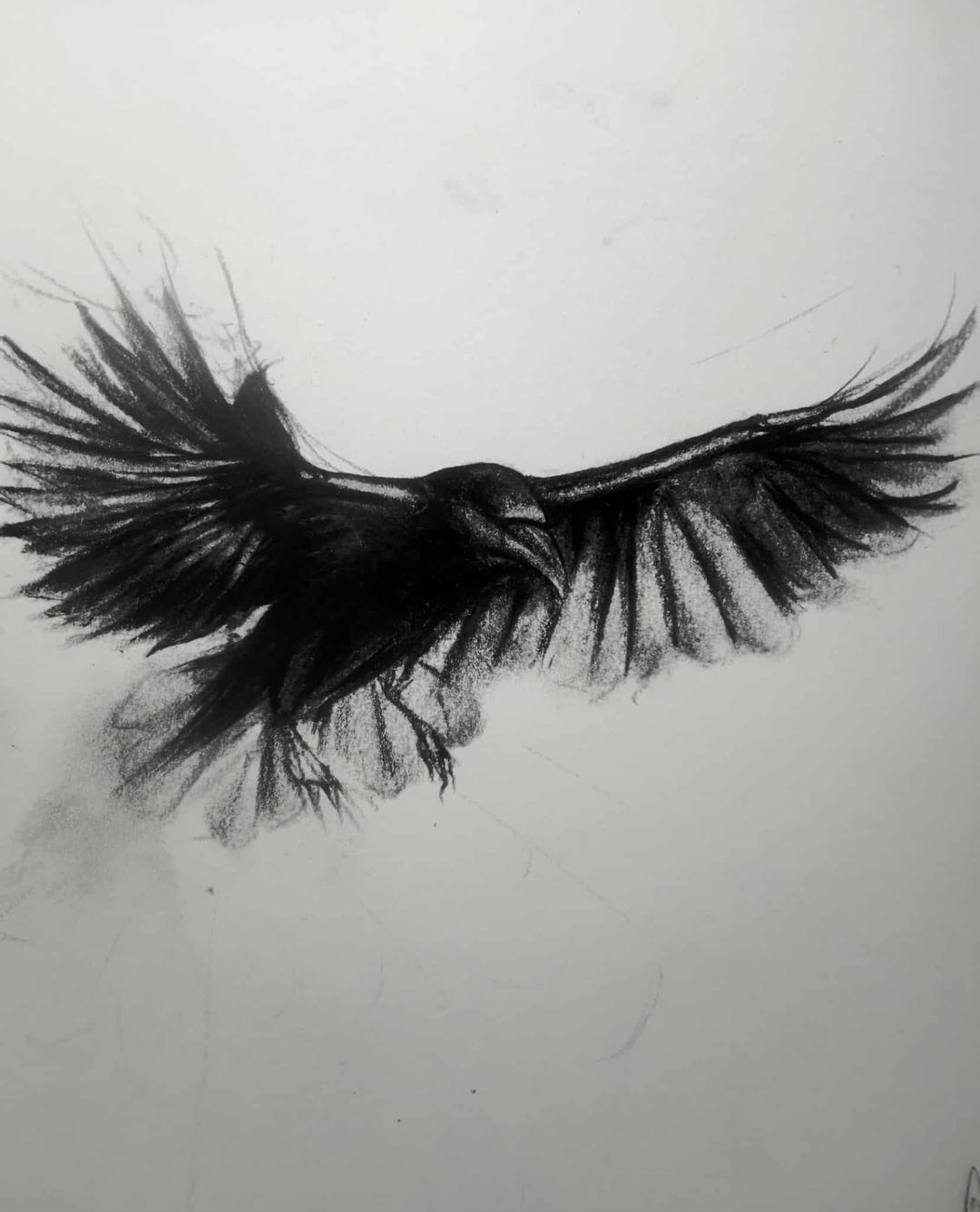 Original - Raven - Etsy