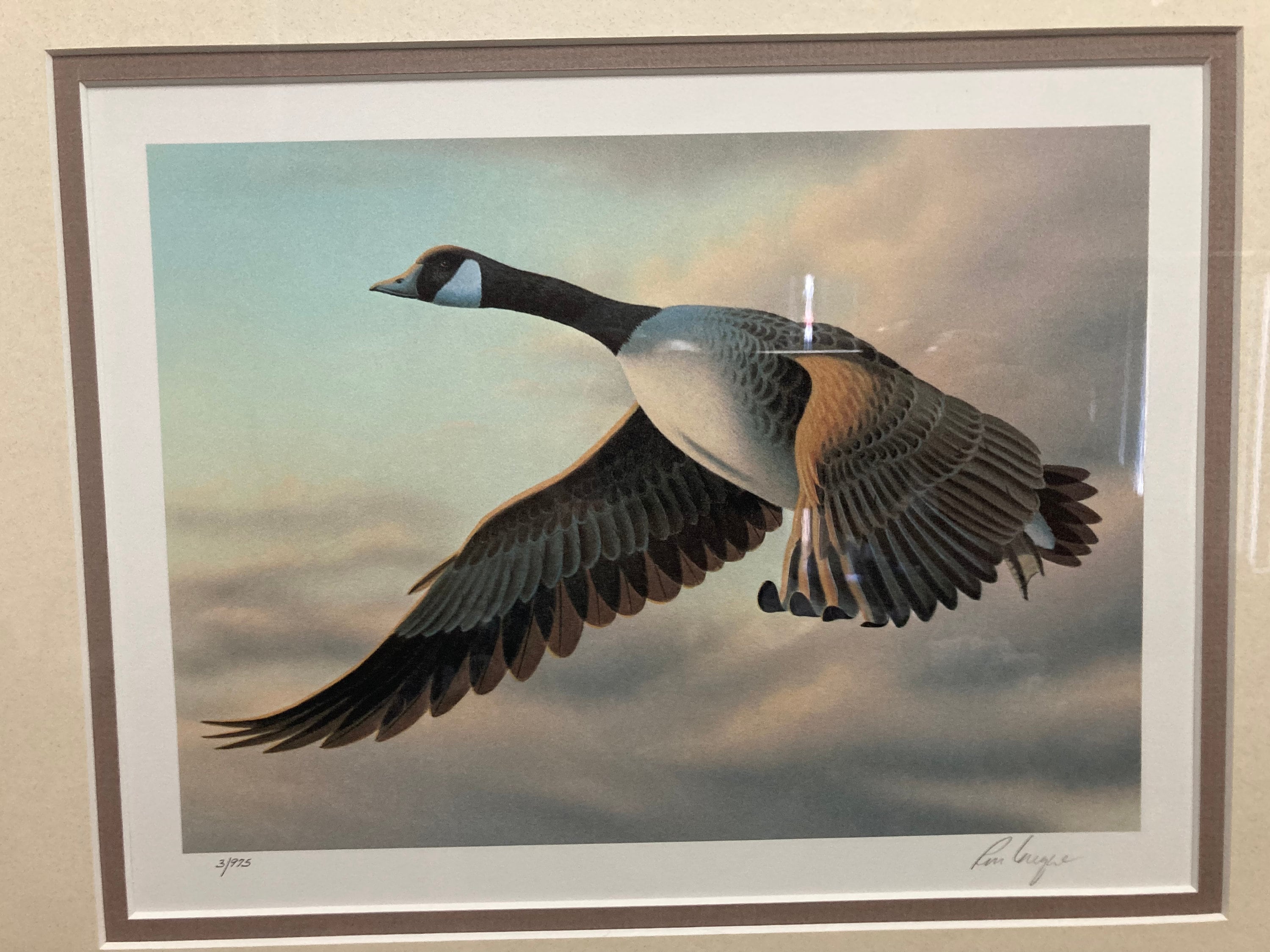 1990 Ronald Louque Duck Stamp & Print 3/975, UV Glass, Custom Frame ...