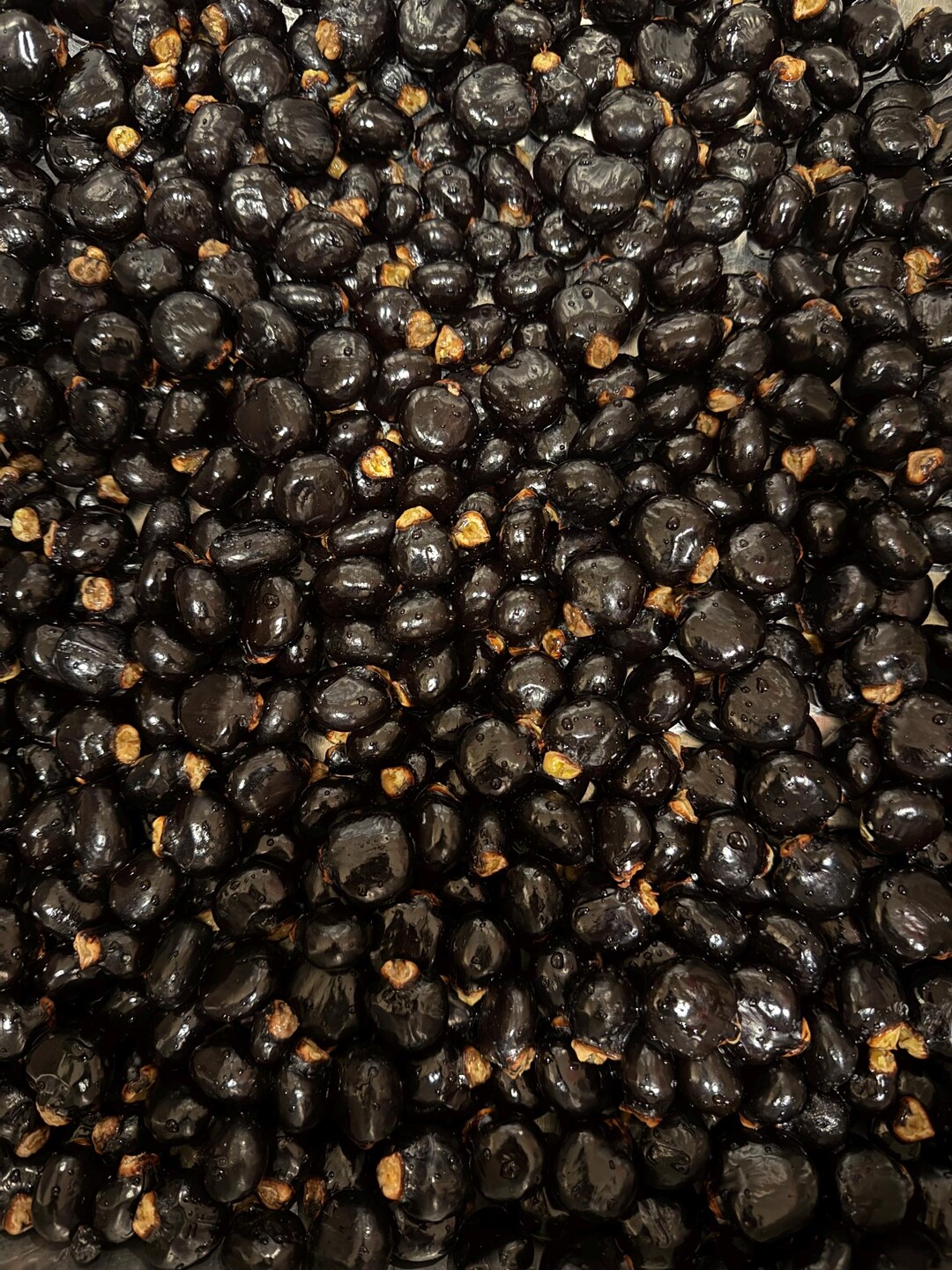 Ackee Seeds - Etsy