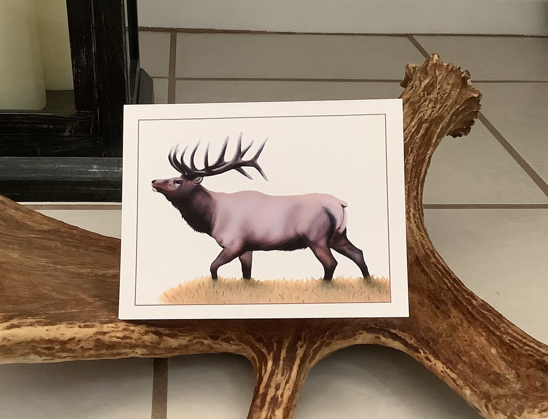 Bull Elk Painting Note Card Set - Etsy