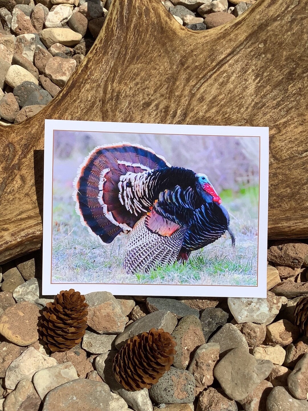 Wild Turkey Note Card Set - Etsy