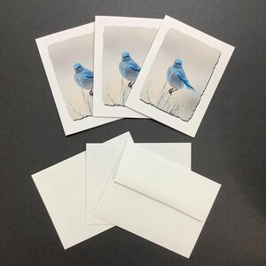 Mountain Bluebird Note Card Set - Etsy