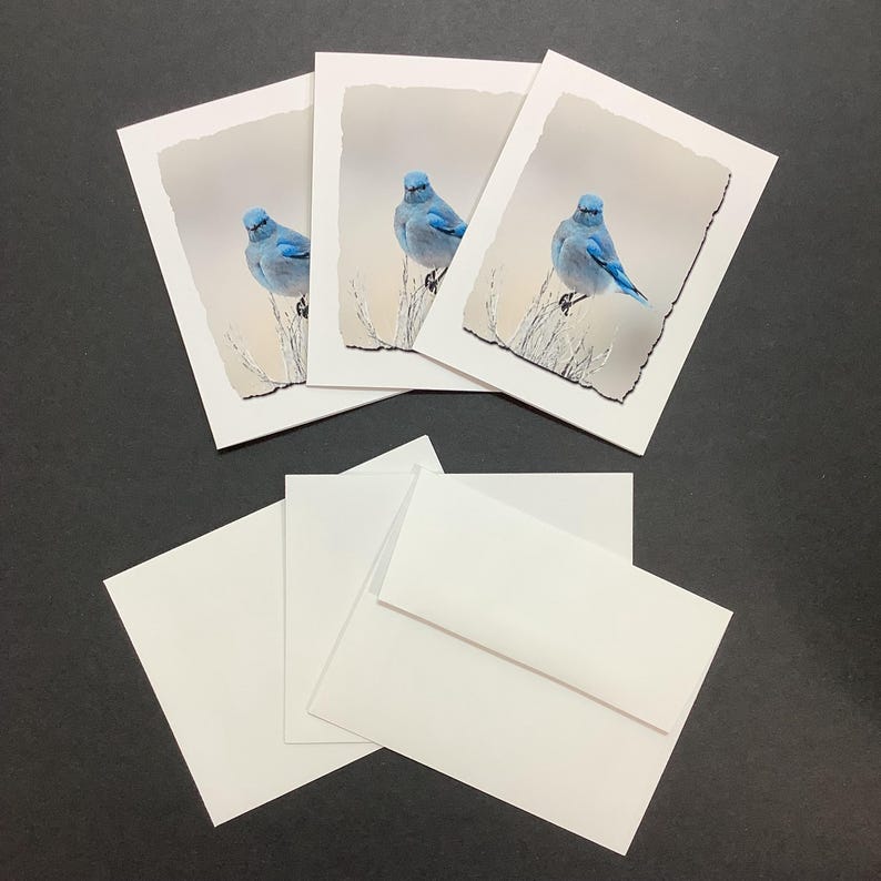 Mountain Bluebird Note Card Set - Etsy