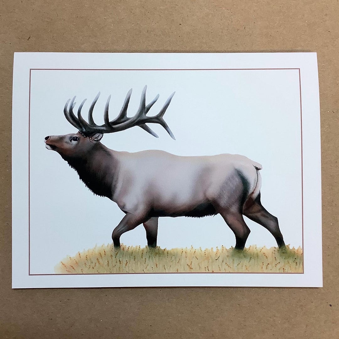 Elk Note Card Set - Etsy