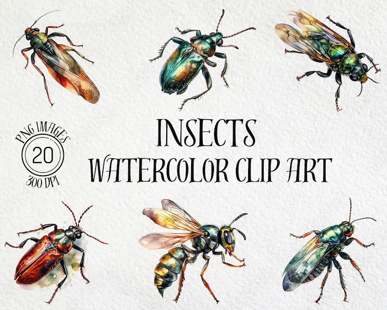 Watercolor Insect Clipart Bundle, Insect PNG, Watercolor Clipart ...