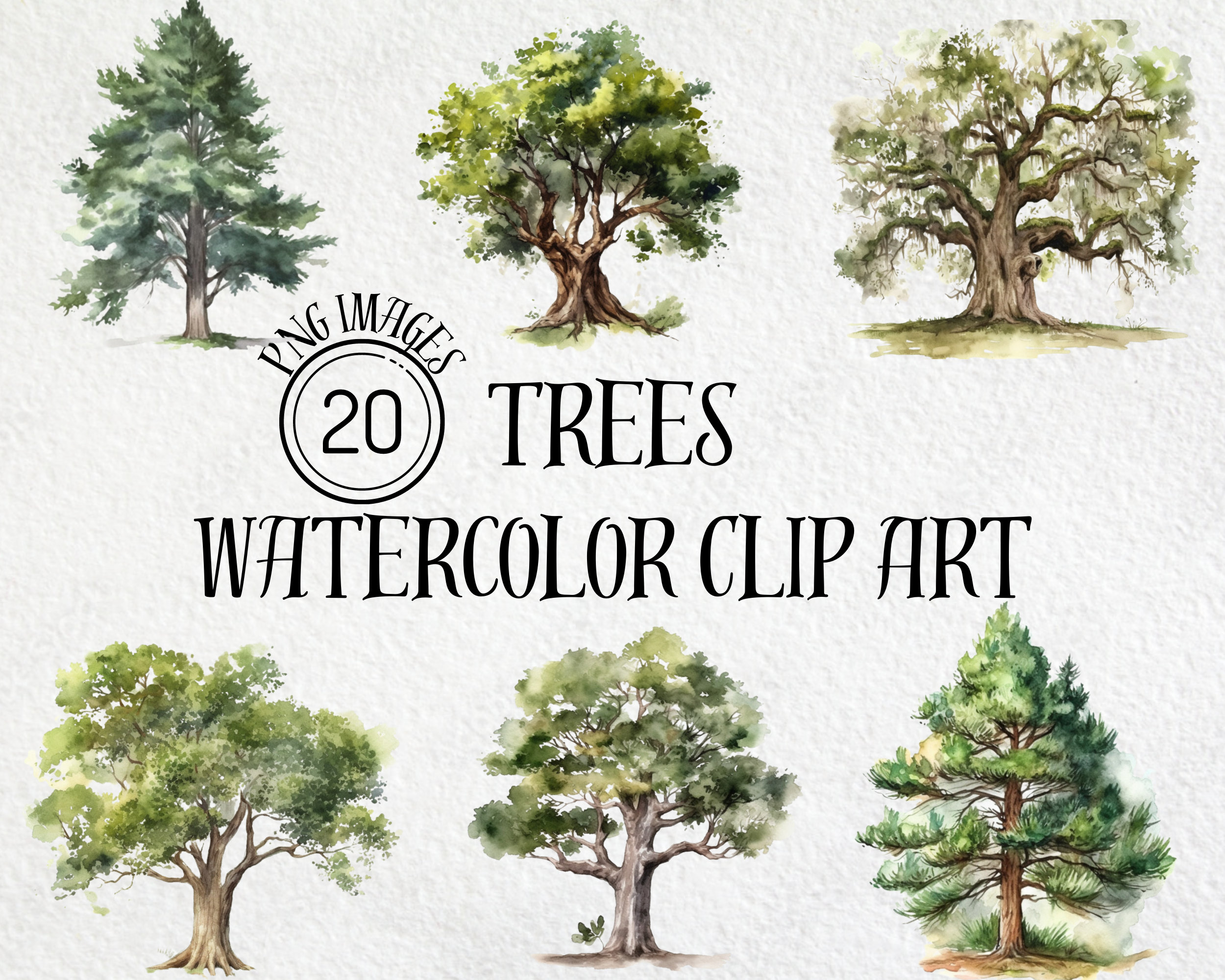 Watercolor Tree Clipart, Oak Tree Clip Art, Redwood Clip Art, Pine Tree ...