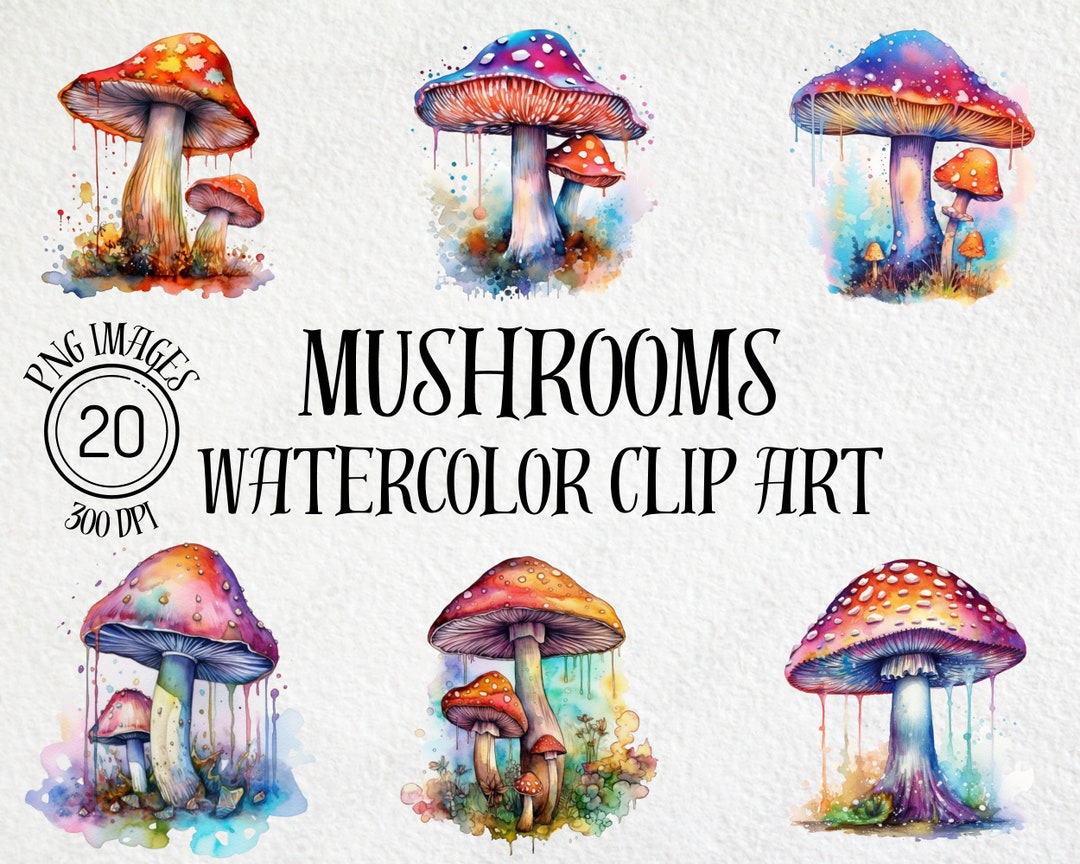 Watercolor Mushroom Clip Art Bundle, Mushroom Clip Art, Mushroom PNG ...