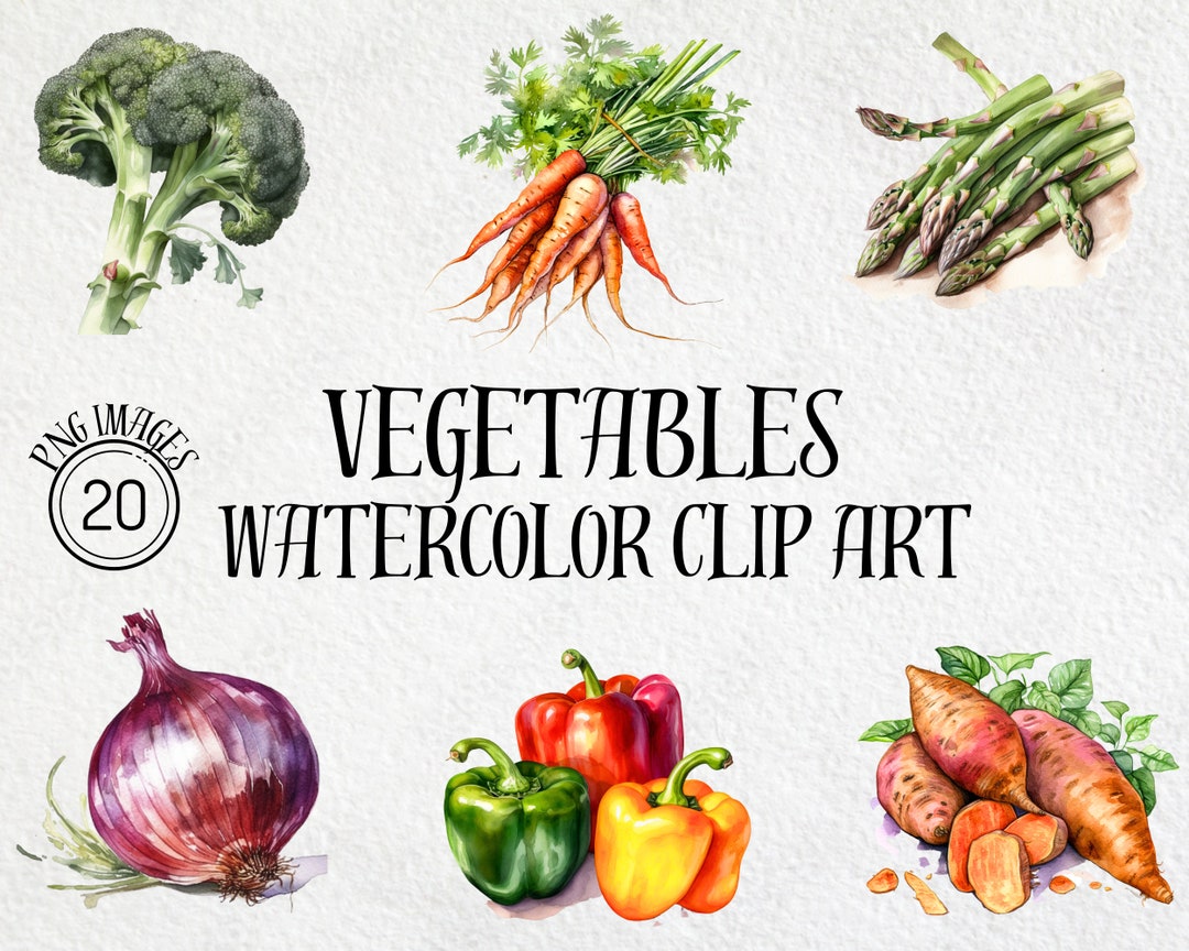 Watercolor Vegetable Clipart Bundle: Garden Veggie PNG Images Digital ...