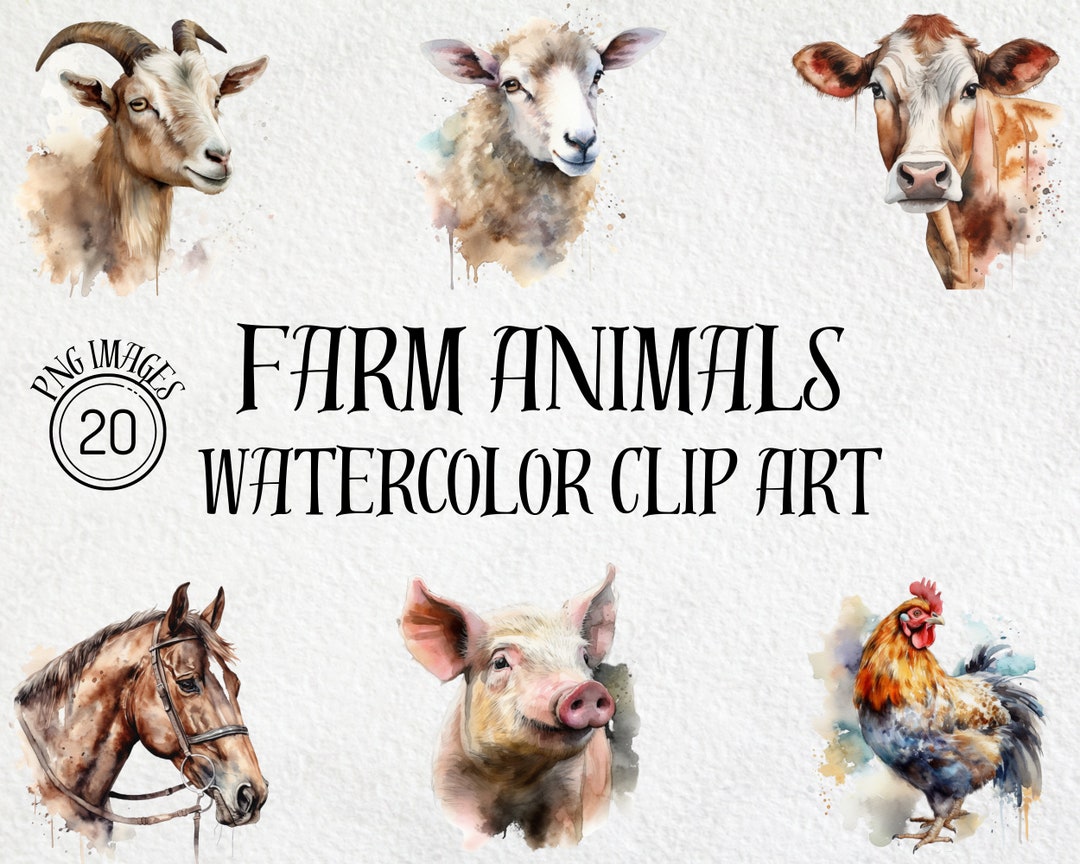 Farm Animal Clip Art Bundle Farm Animal PNG Watercolor Clip - Etsy